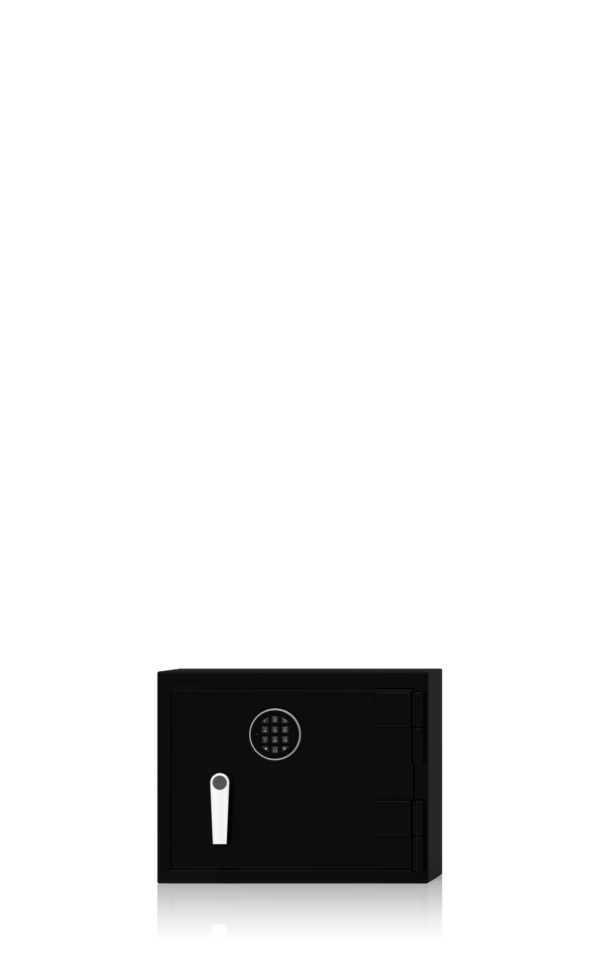 Watch Safe – Man Safe Watch Safes from BrownSafe.com